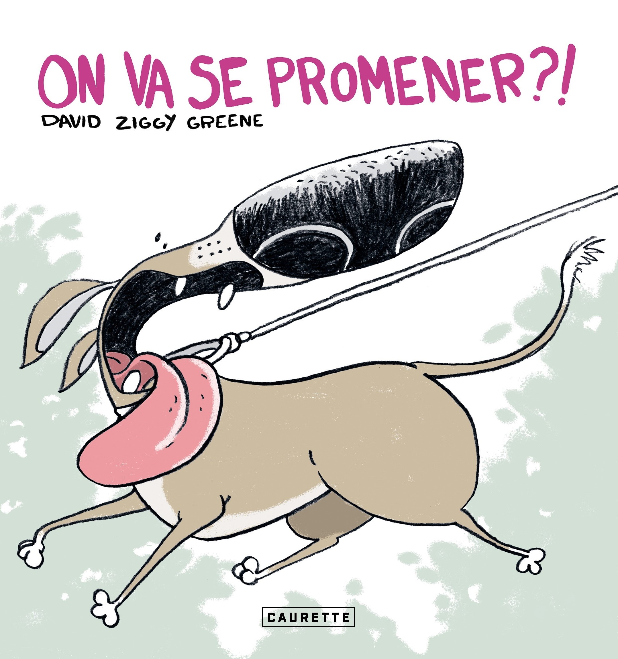 On Va Se Promener David Ziggy Greene Editions Caurette